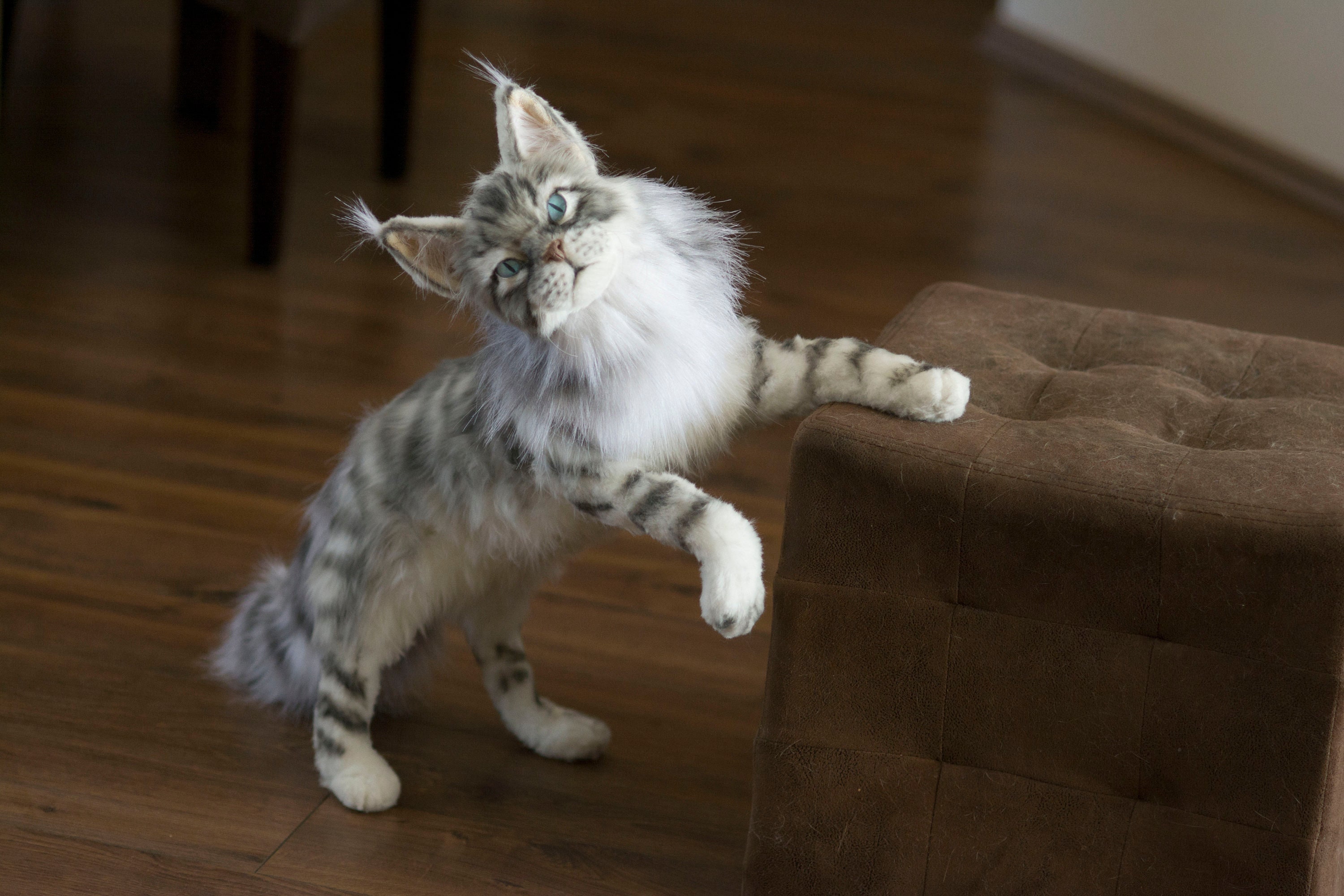 Realistic Cat for sale | Only 2 left at -60%