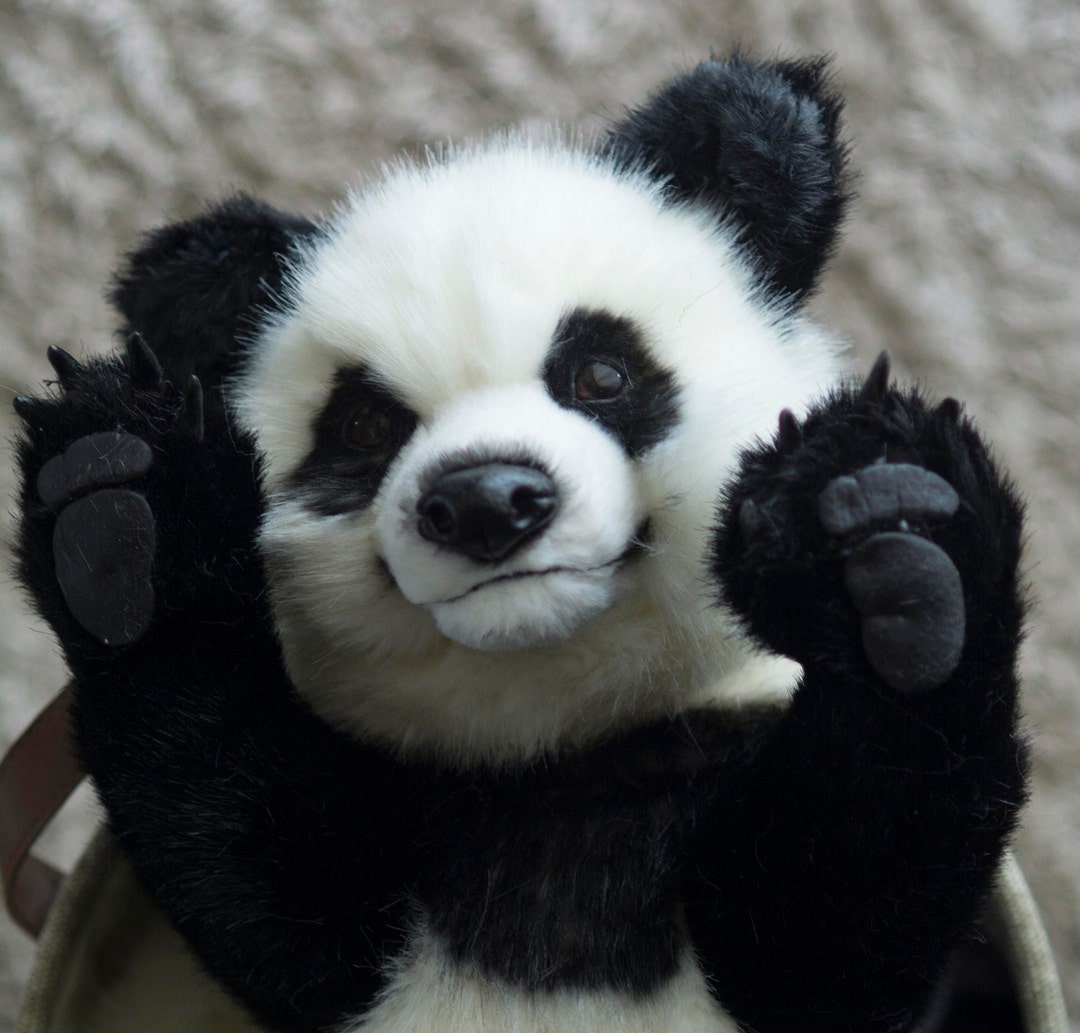 On Stock Realistic Panda Bear Cub Plush Toy, Lifelike Stuffed Panda ...