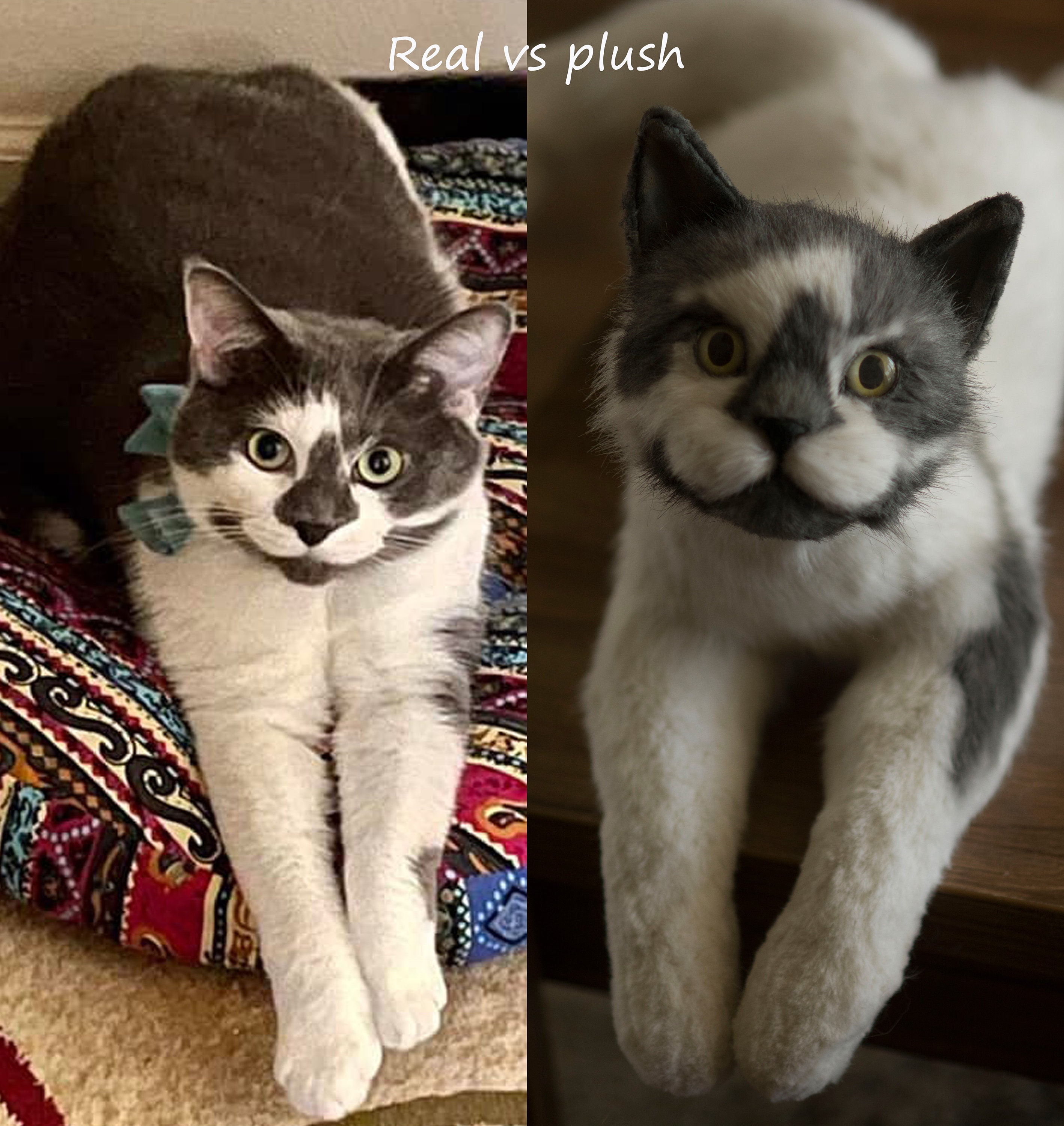 Made to Order 40 Cm Custom Cat Plush Custom Stuffed Cat - Etsy