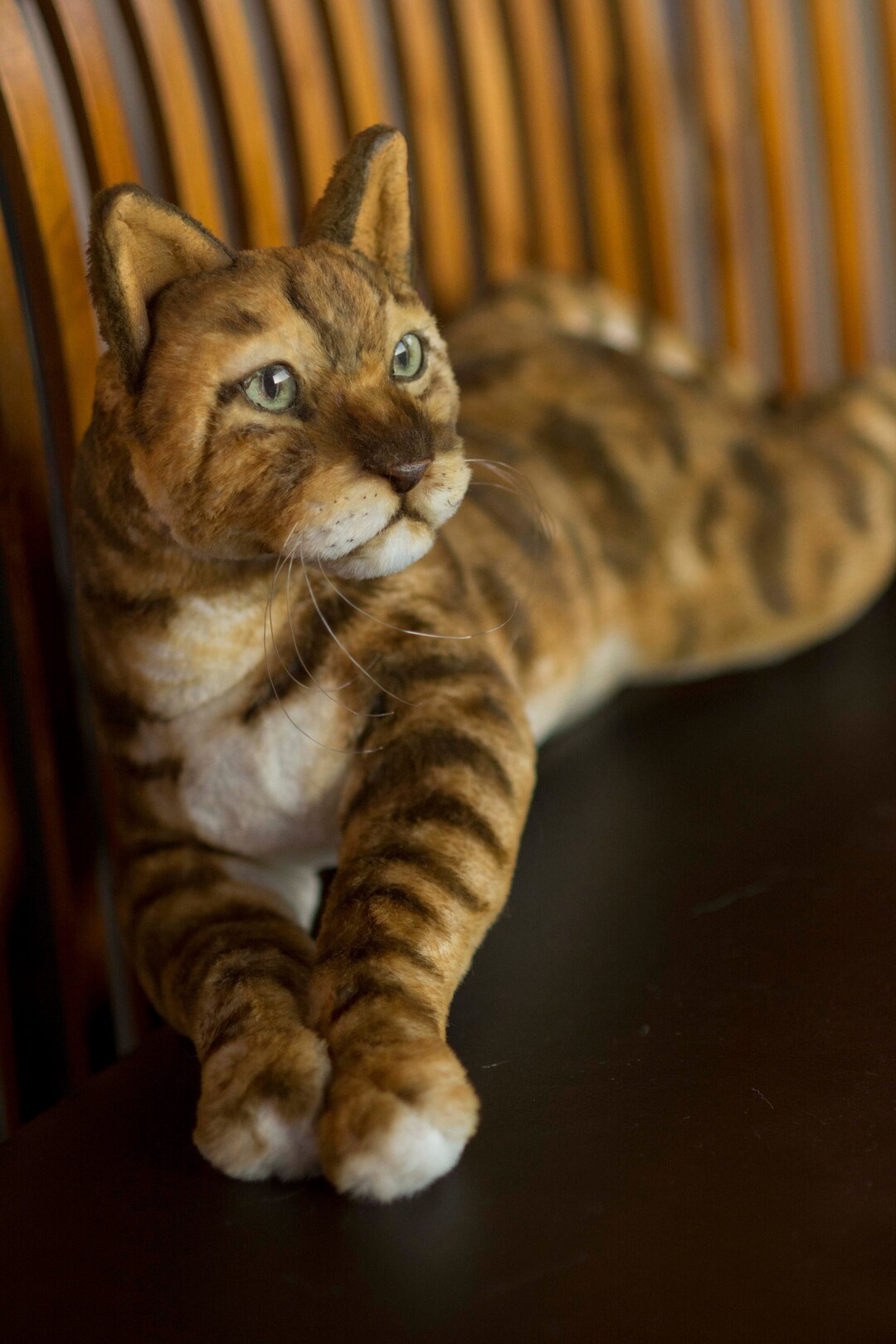 In Stock Realistic Bengal Cat Plush Poseable Replica - Etsy