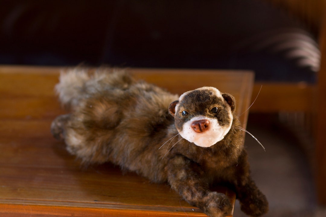 In Stock! Cute Stuffed Ferret Replica Plush, Artist Ferret Toy Portrait ...