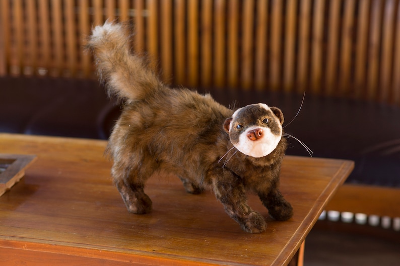 In Stock! Cute Stuffed Ferret Replica Plush, Artist Ferret Toy Portrait ...