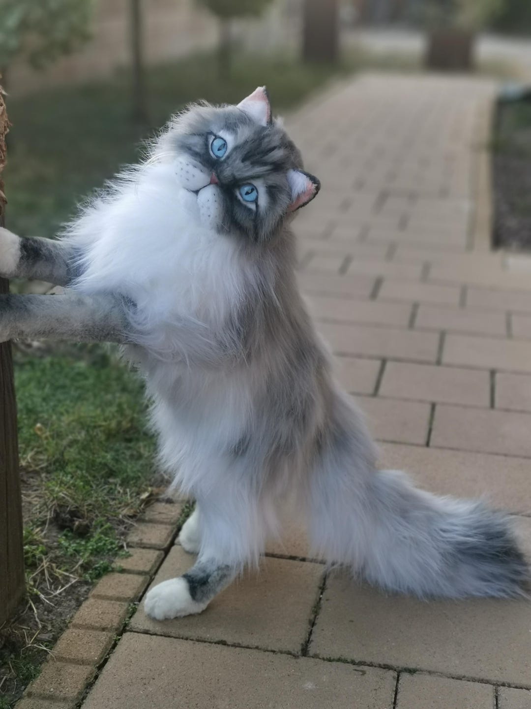 Realistic Persian Stuffed Cat Plush Replica, Lifelike Persian Cat Clone ...