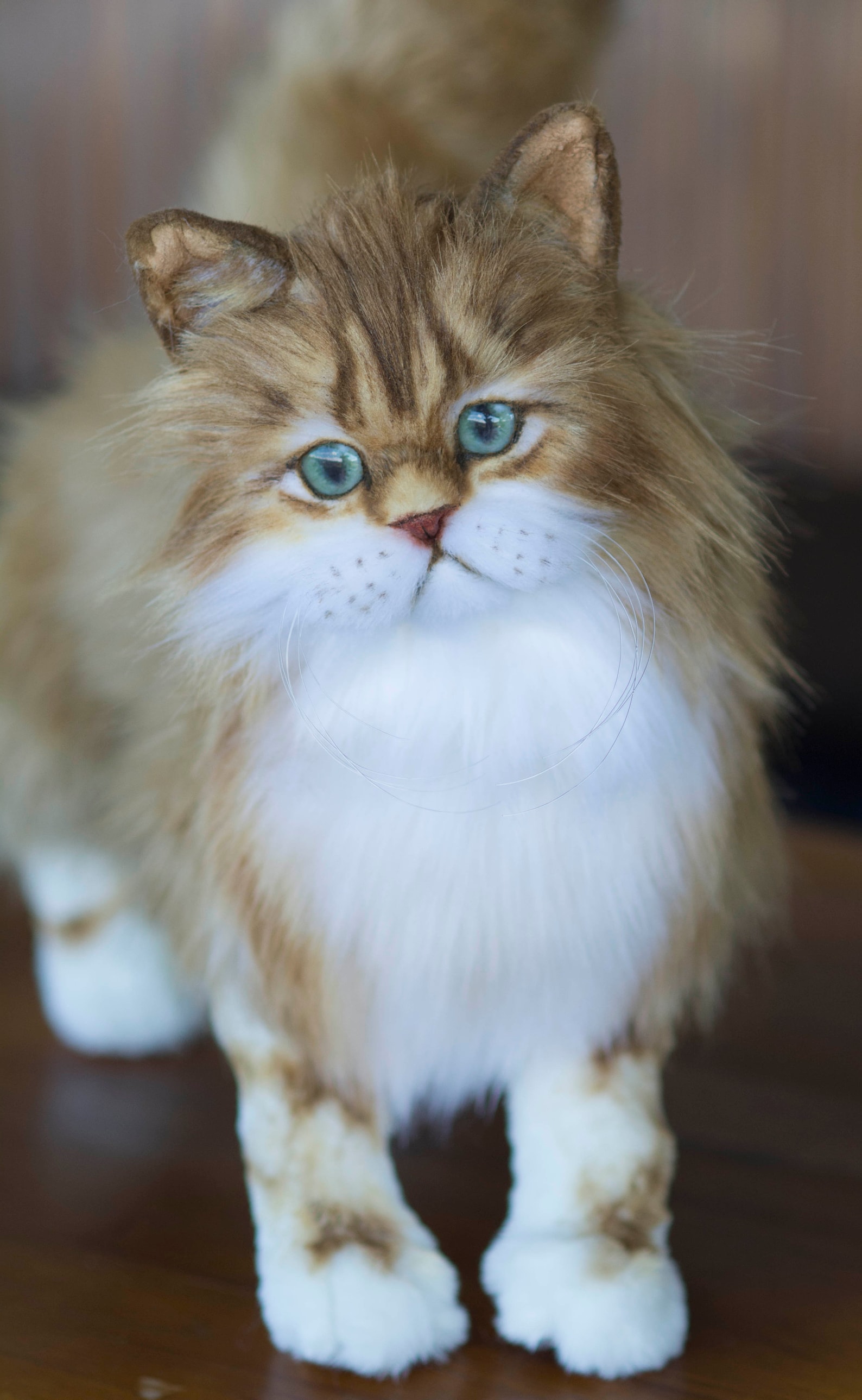 Realistic Stuffed Persian Cat Plush Portrait, Lifelike Persian Cat ...