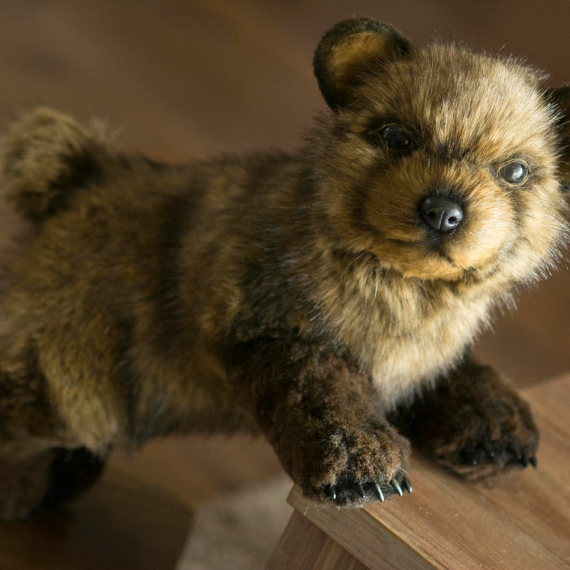 Realistic Bear Costume - Etsy