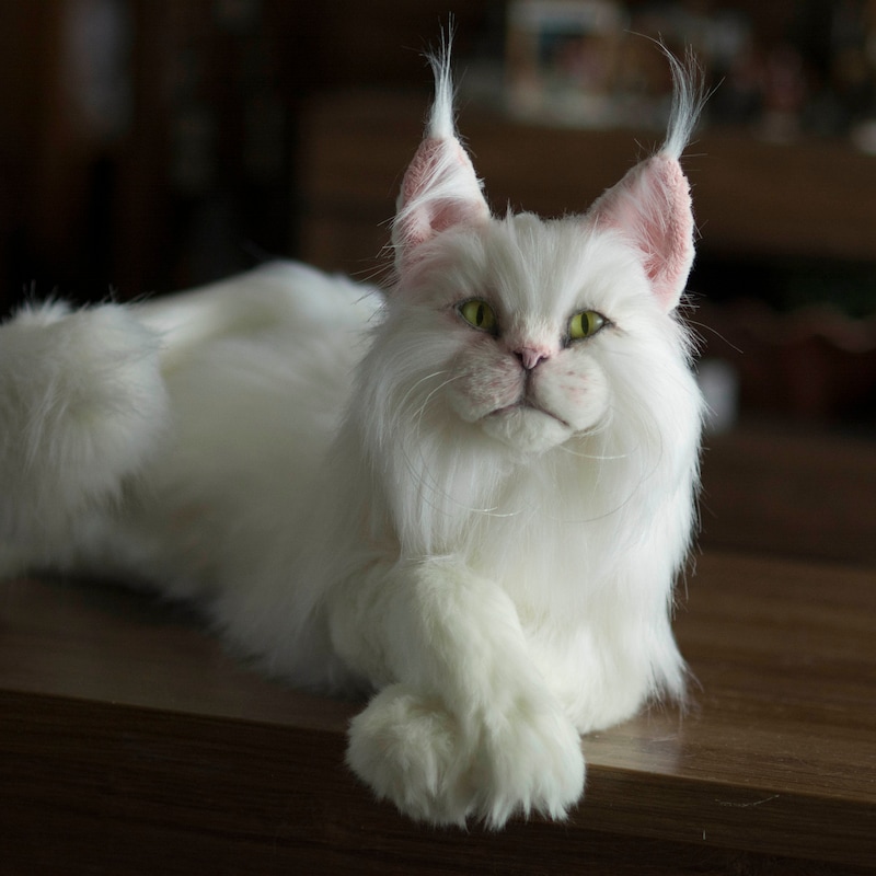 Realistic Cat - Etsy