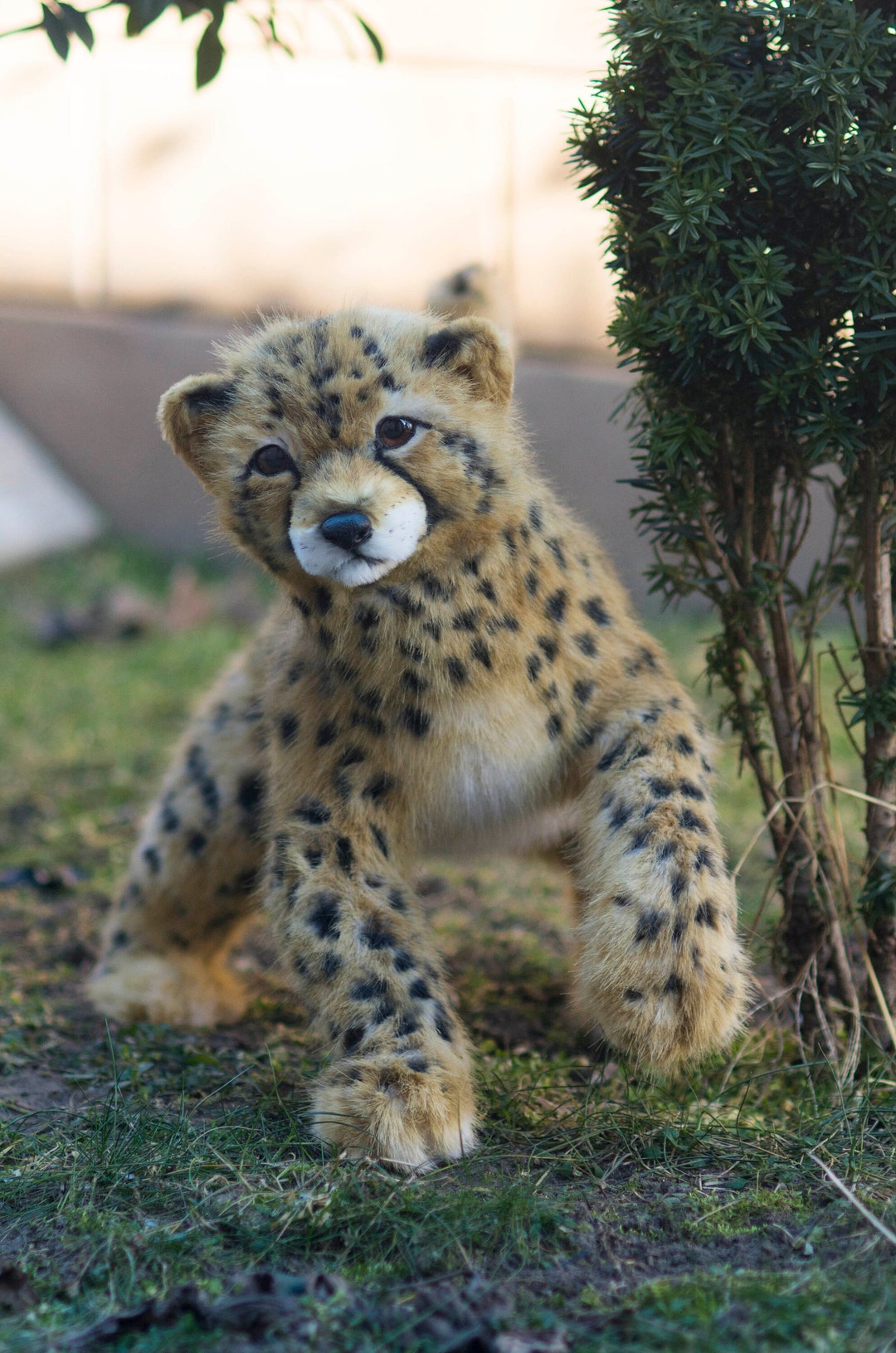 In Stock! Realistic Cheetah Cub Replica Plush, Lifelike Wildcat Cheetah ...