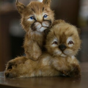 On Stock 28 Cm Caracal Cub Plush Wildcat Toy Realistic Lion - Etsy