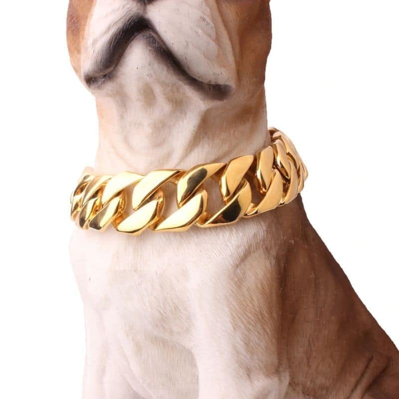 43mm Wide Cuban Dog Collar/chain multiple Lengths Available - Etsy