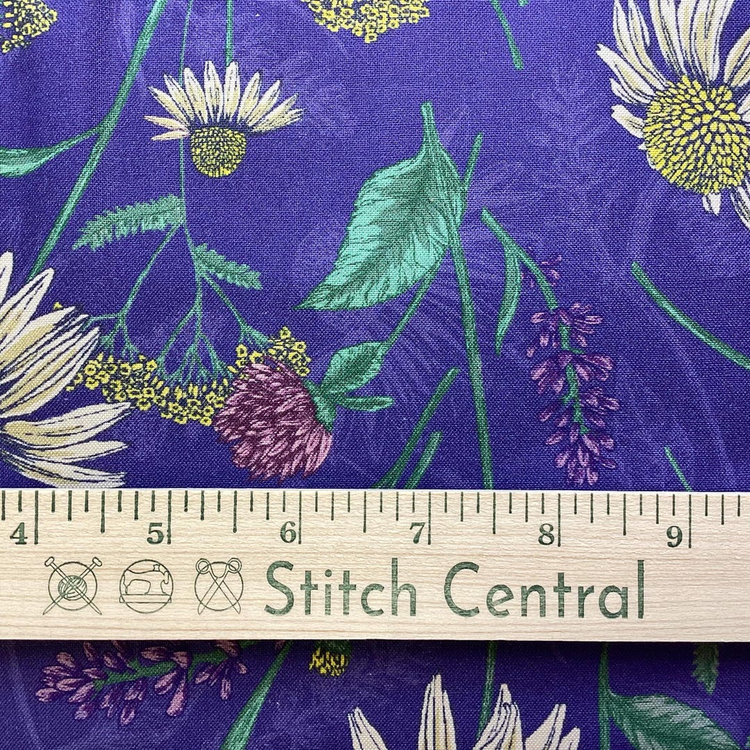 Meadow Toss Twilight by Rachel Rossi - Echinacea - Floral Purple - Etsy