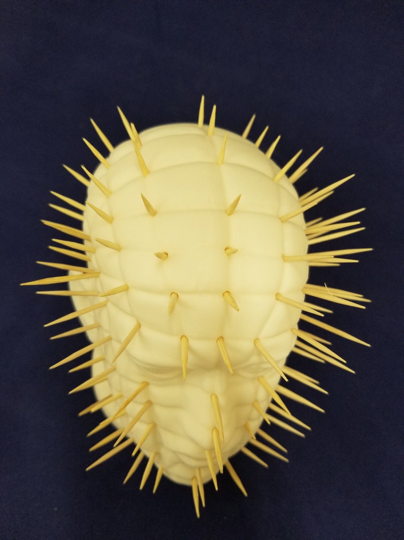 3D Printed PINHEAD DECOR Toothpick Holder / Heavy - Etsy