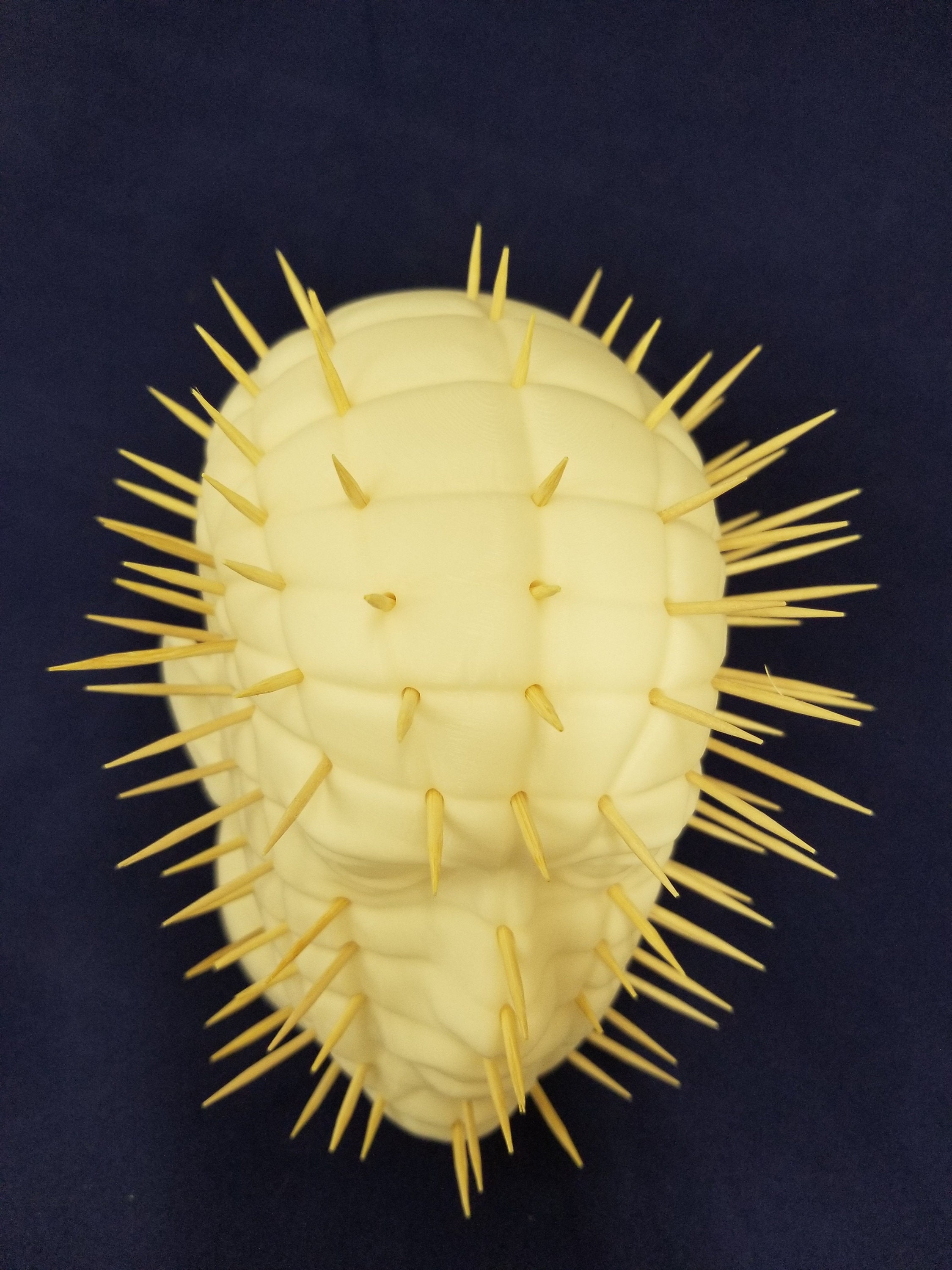 3D Printed PINHEAD DECOR Toothpick Holder / Heavy - Etsy