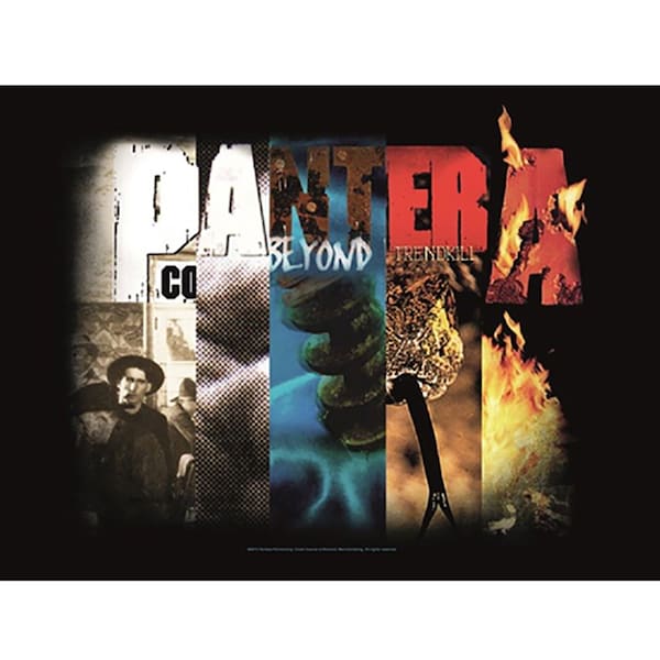 Pantera Flag - Etsy