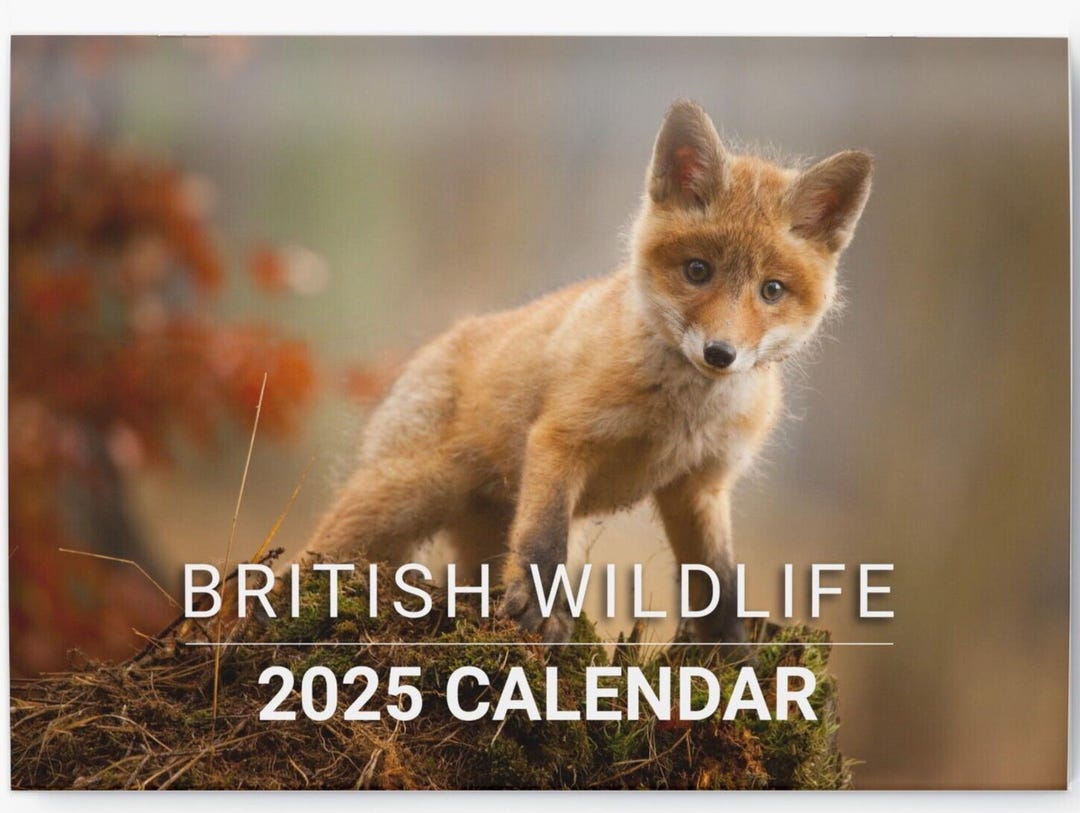 2024 2025 British Wildlife Calendar Wall Monthly Planner Family Home ...