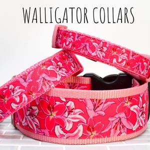 WalligatorCollars - Etsy
