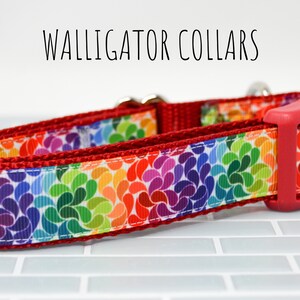 The Love is Love Collars - Etsy