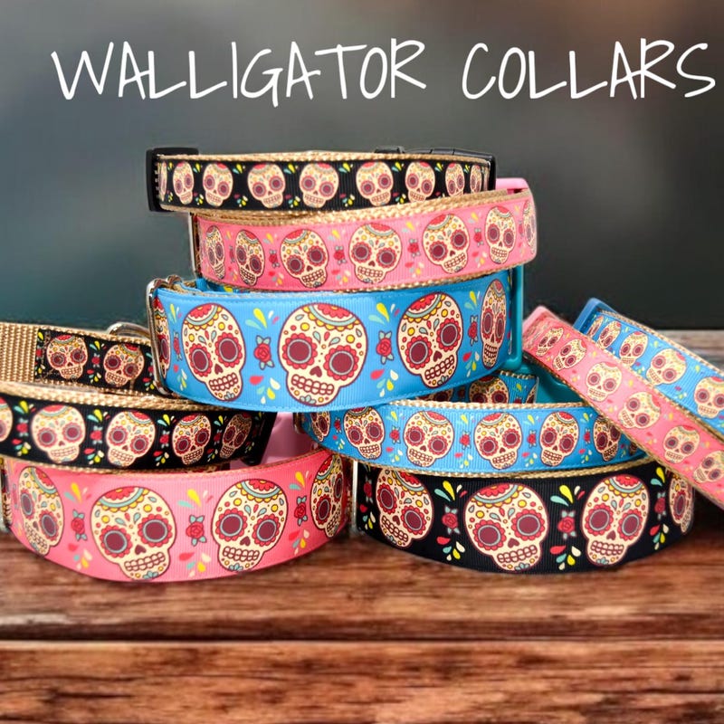 Skull Dog Collar - Etsy
