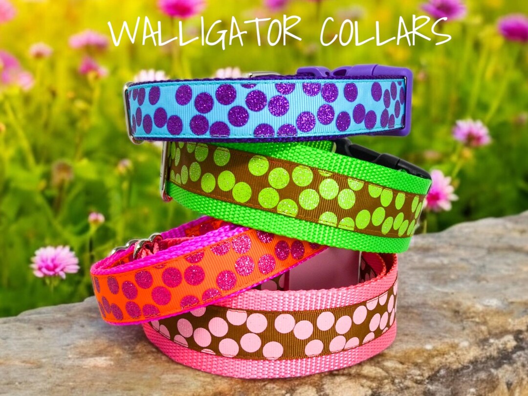 The Pretty Polka Dot Collars - Etsy