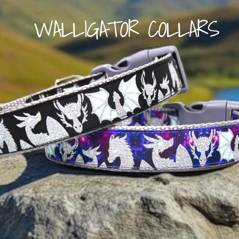Dragon Dog Collar - Etsy