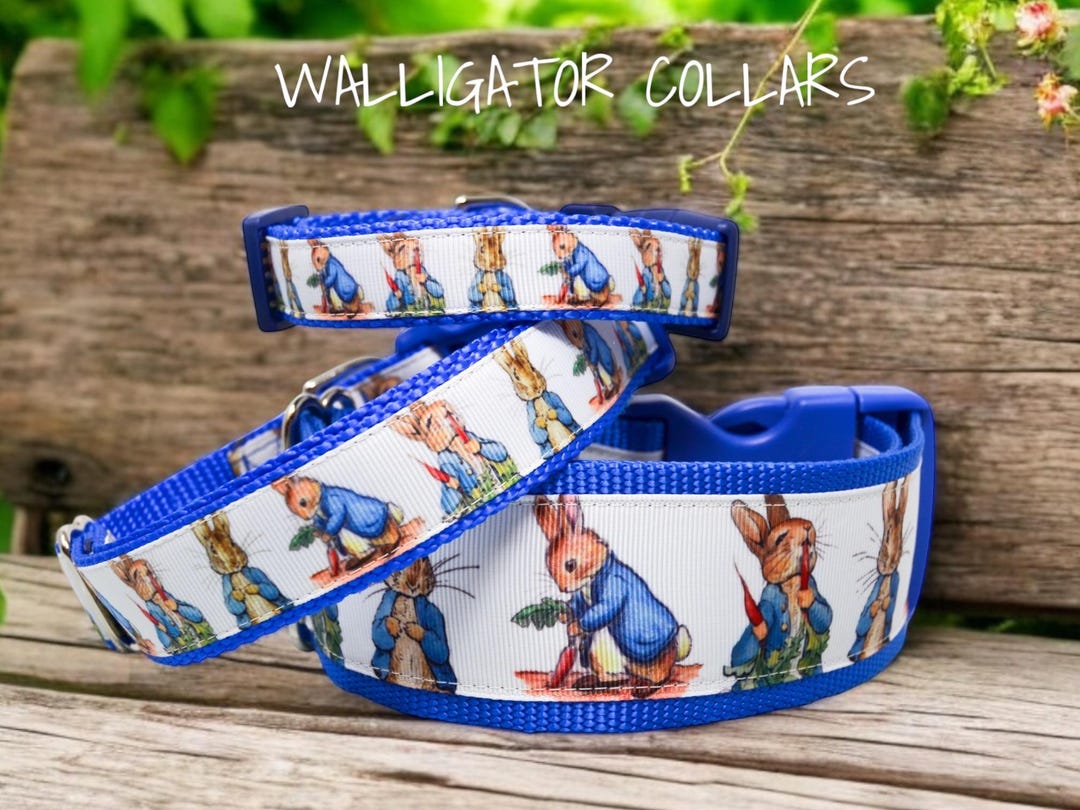 The Peter Rabbit Collar - Etsy