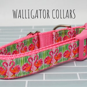 The Pink Flamingo Collars - Etsy