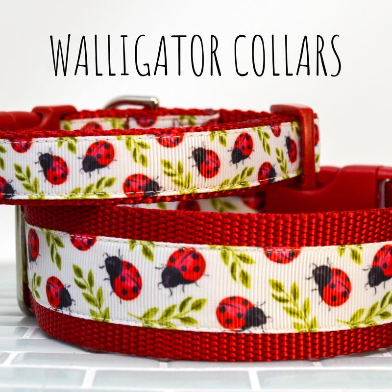 WalligatorCollars - Etsy