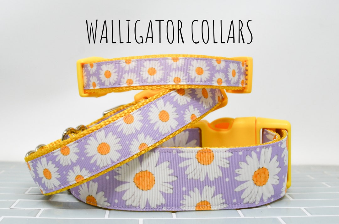 The Lavender Daisy Collars - Etsy