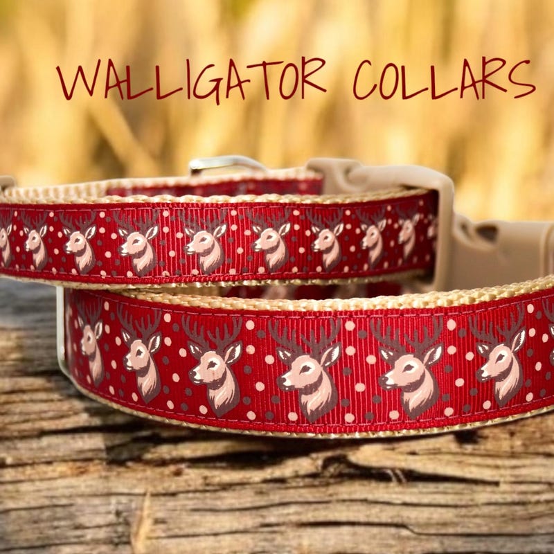 WalligatorCollars - Etsy