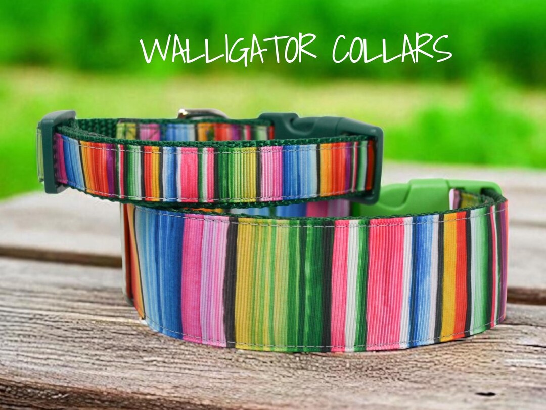 The Bright and Bold Serape Collars - Etsy