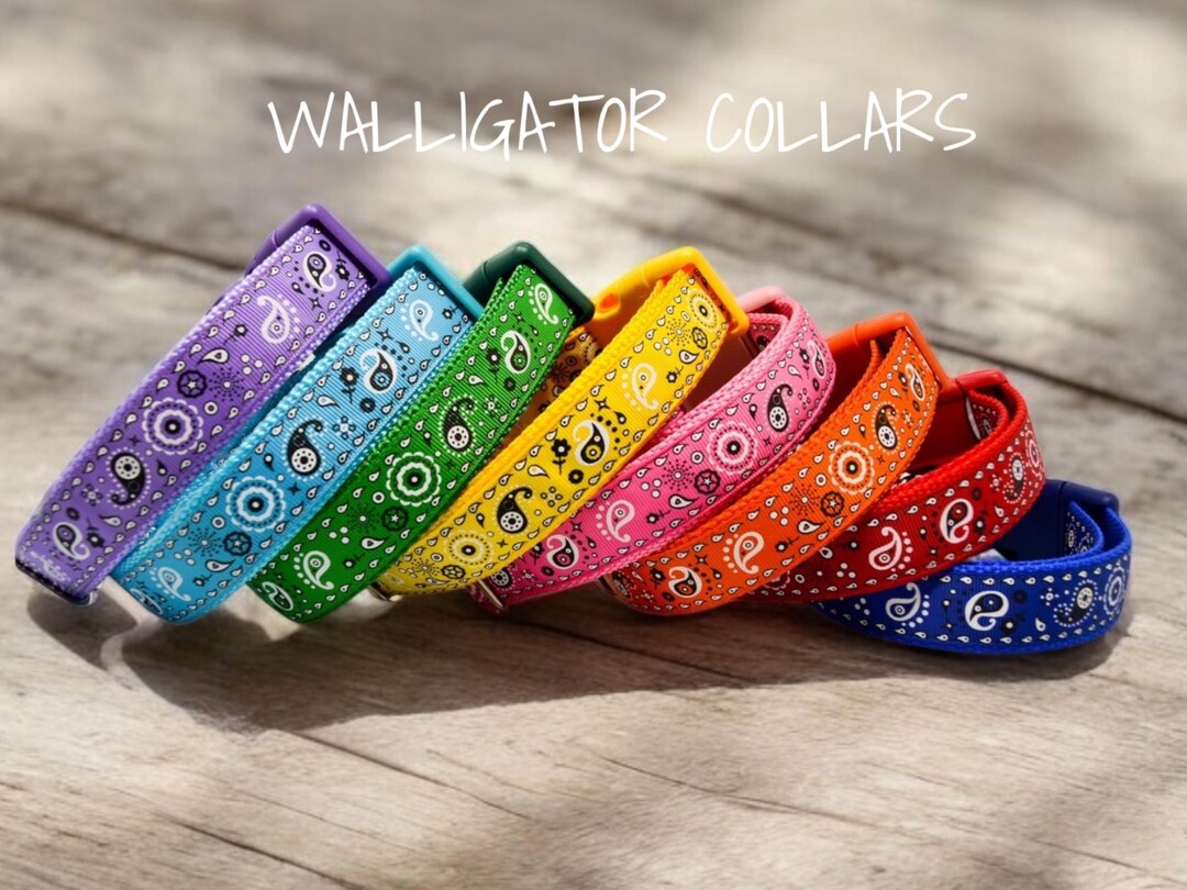 The Bandana Collars Collection - Etsy