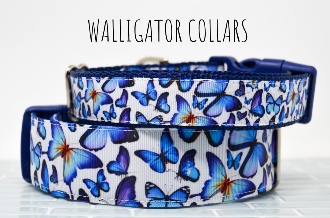 The Brilliant Blue Butterfly Collars - Etsy