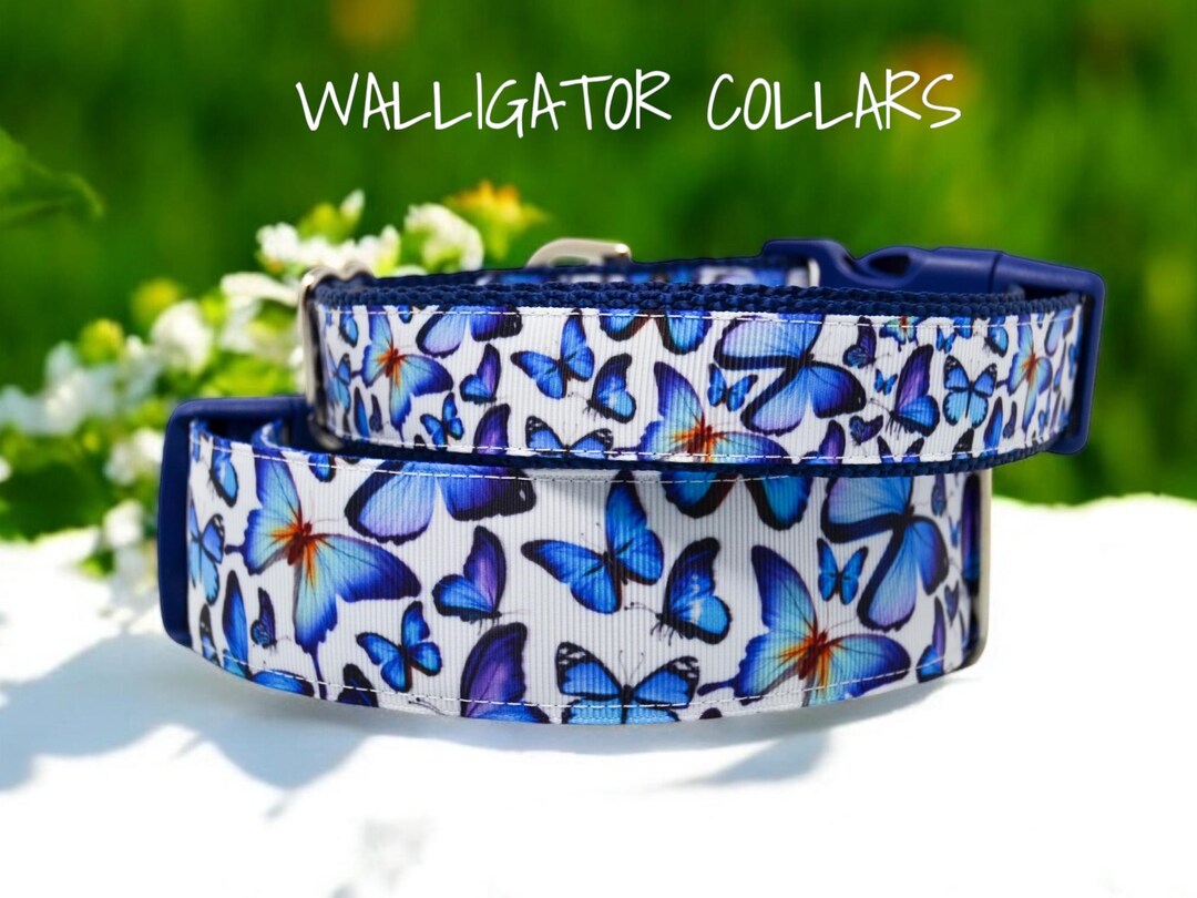The Brilliant Blue Butterfly Collars - Etsy