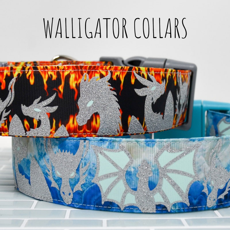 Dragon Dog Collar - Etsy