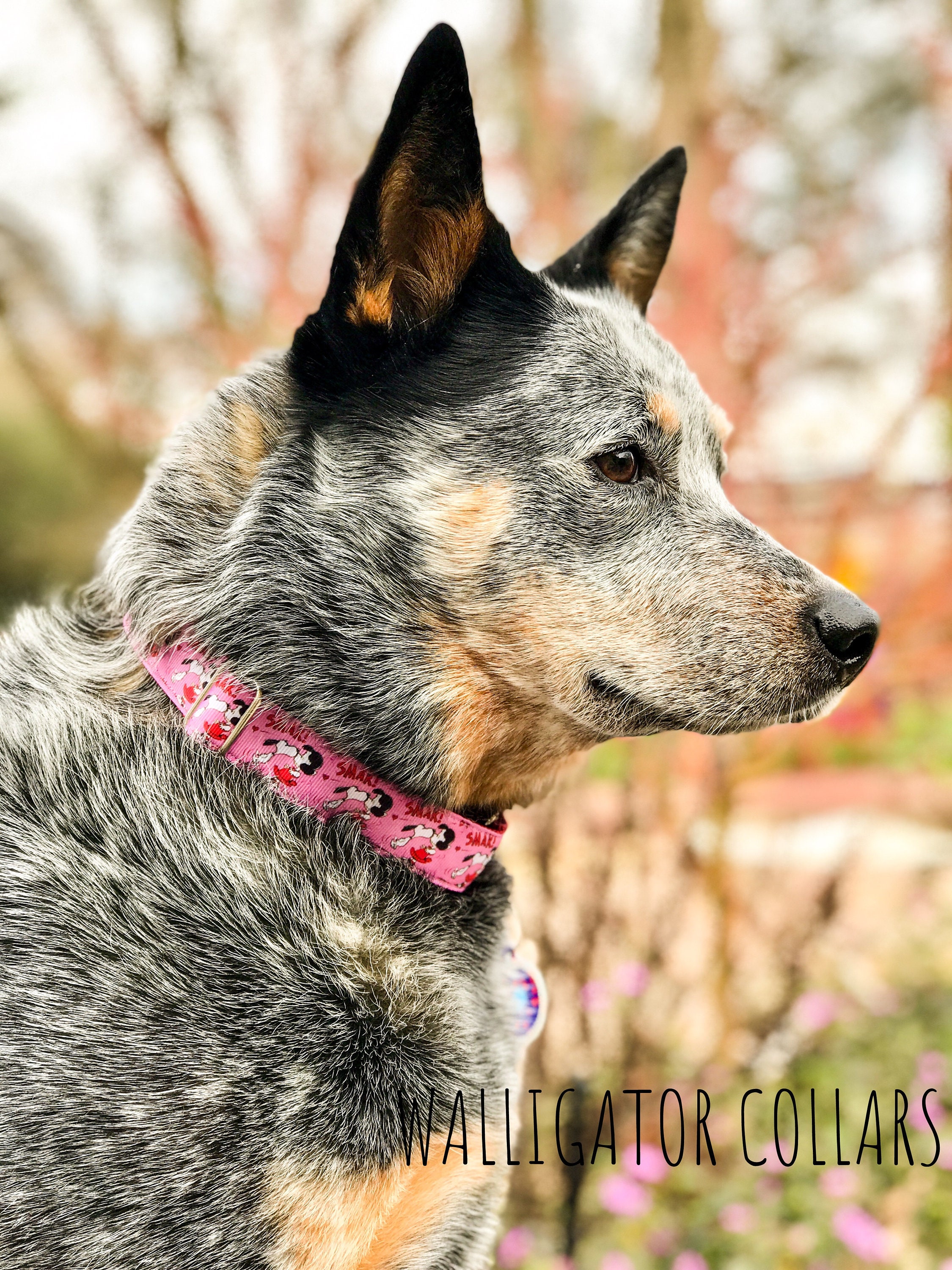 The SMAK collar | Etsy