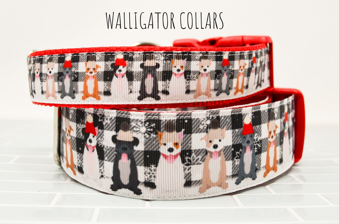 The Chilly Pibble Collars - Etsy