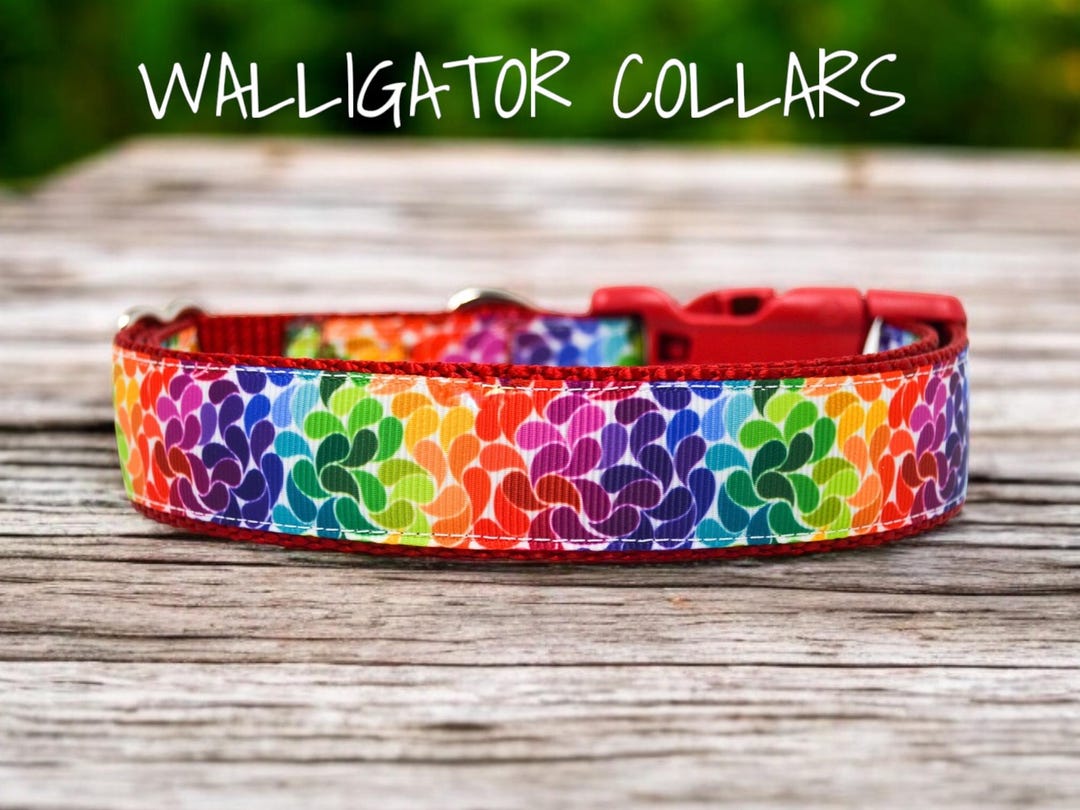 The Love is Love Collars - Etsy