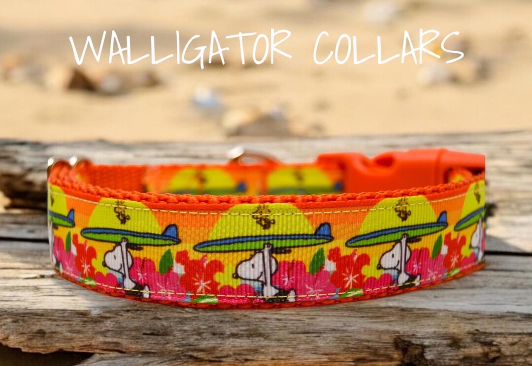 The Surfing Beagle Collars - Etsy