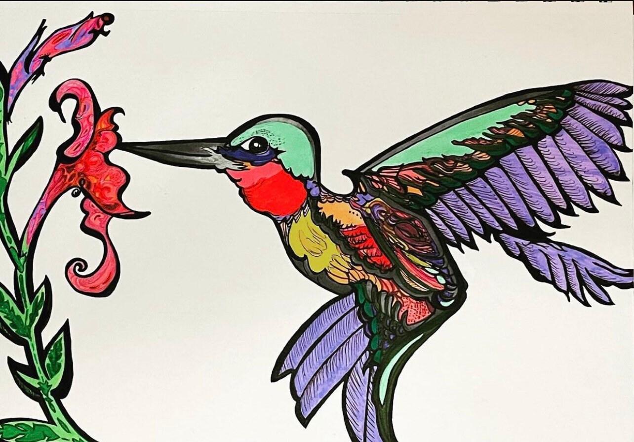 Hummingbird Drawing - Etsy