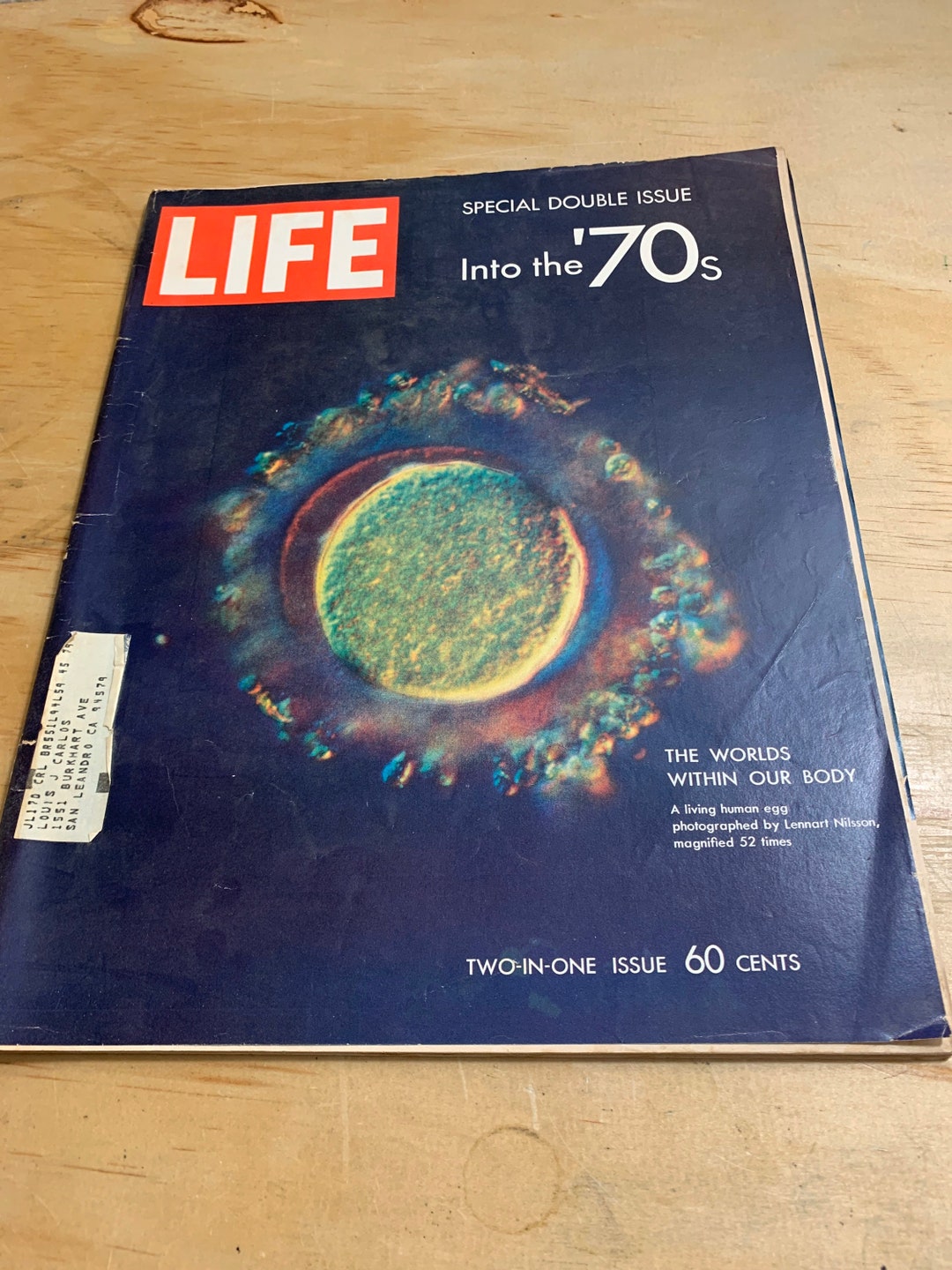 Life Magazine Into the 80s Special Double Issue - Etsy