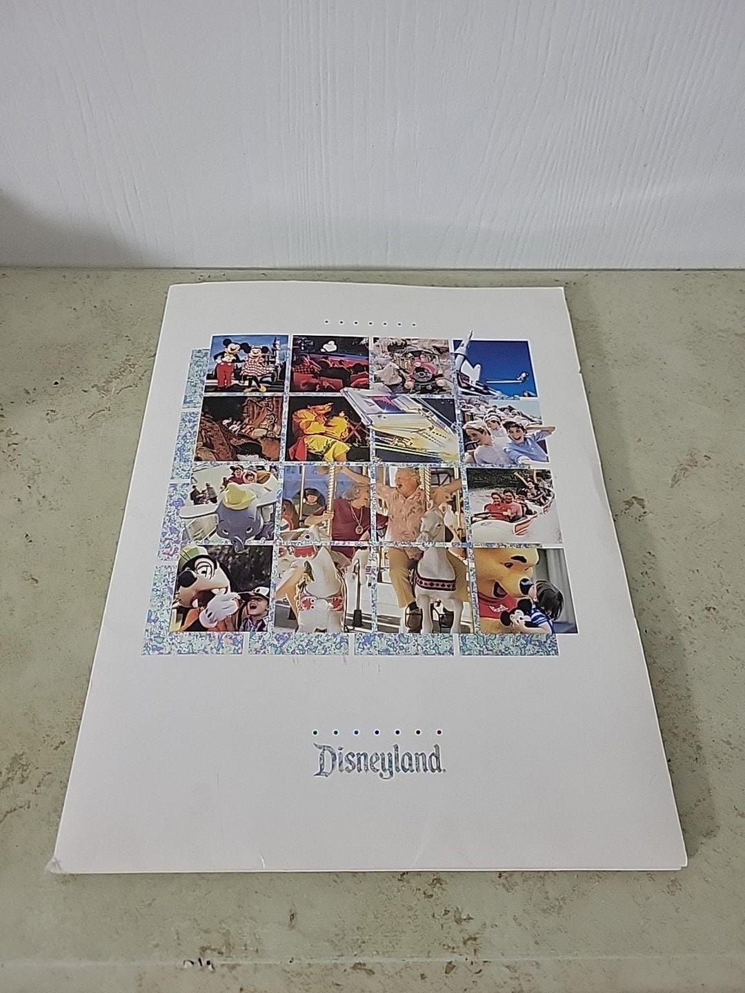 1990 Disneyland Resort Preliminary Master Plan Brochure/ Pamphlet ...