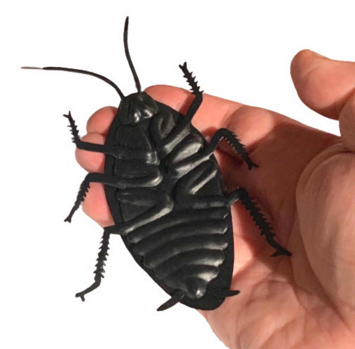 Vintage JUMBO COCKROACH 6 Giant Rubber Fake Bug Prank Joke Gag Funny ...