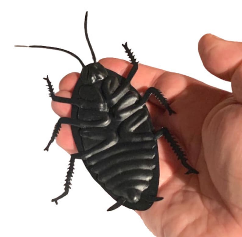 Vintage JUMBO COCKROACH 6 Giant Rubber Fake Bug Prank Joke Gag Funny ...