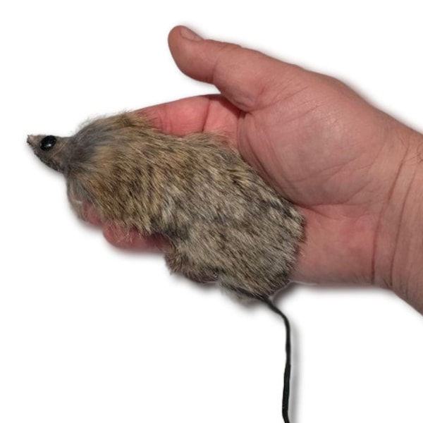 Realistic Fake Mouse - Etsy