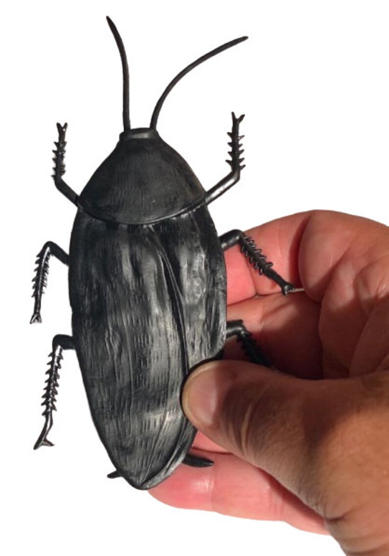 Vintage JUMBO COCKROACH 6 Giant Rubber Fake Bug Prank Joke Gag Funny ...