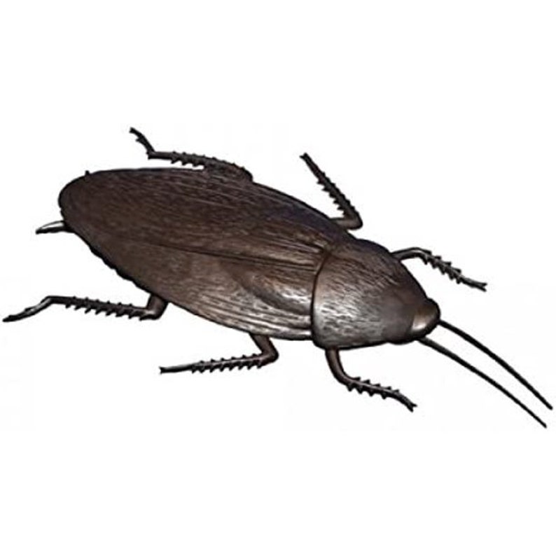 Vintage JUMBO COCKROACH 6 Giant Rubber Fake Bug Prank Joke Gag Funny ...