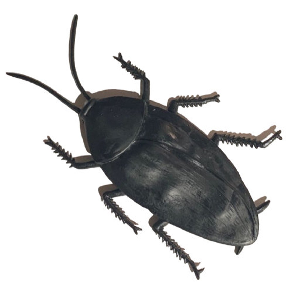 Vintage JUMBO COCKROACH 6 Giant Rubber Fake Bug Prank Joke Gag Funny ...