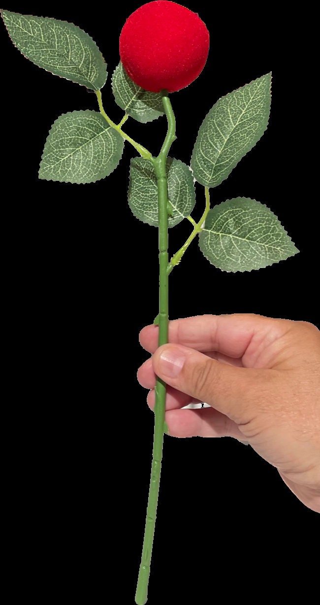 Funny Long STEM RED NOSE Flower Rose Gag Foam Sponge Clown Big Ball ...