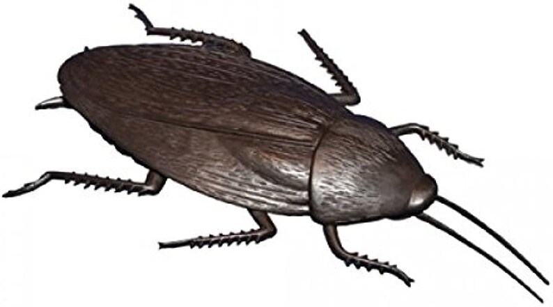 Vintage JUMBO COCKROACH 6 Giant Rubber Fake Bug Prank Joke Gag Funny ...