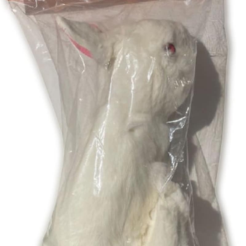 Realistic Fake Bunny - Etsy