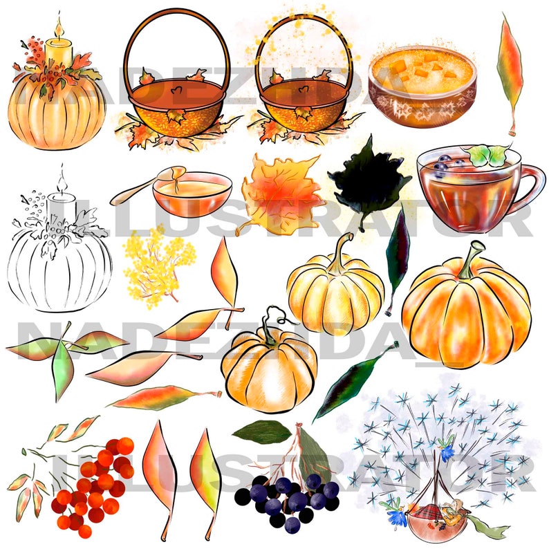 Art Pumpkins Fall Acorns Leaves, Berries Watercolor Clipart Set, Autumn ...